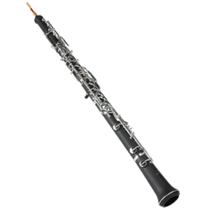 Private Lessons – Elefante Music & School for the Performing Arts