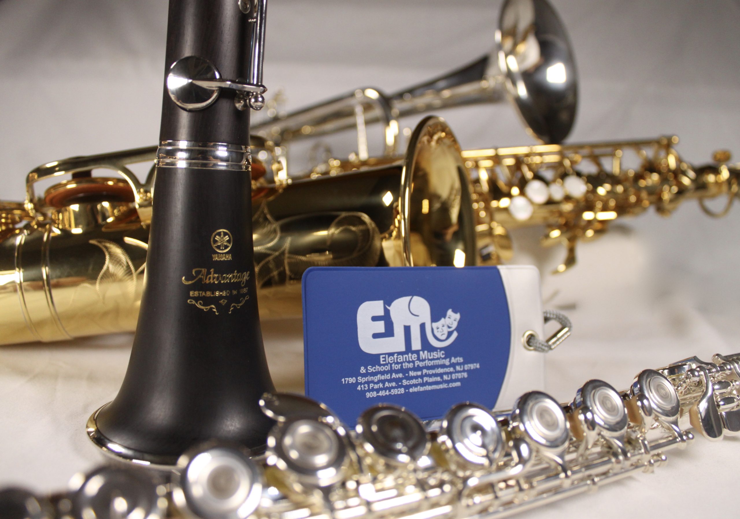 Elefante Music & School for the Performing Arts